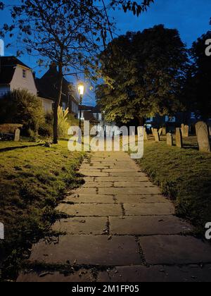 Vertical shot of a beautiful cobblestone path surrounded by trees on a ...