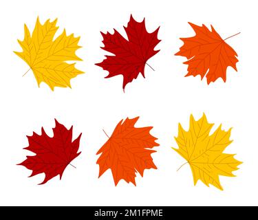 Maple leaf icon. Simple illustration of maple leaf vector icons set ...