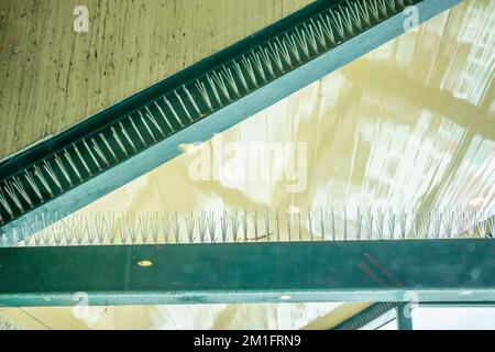 anti bird spike on building structure Stock Photo - Alamy