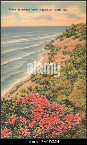 Punta Borinquen view, Aguadilla, Puerto Rico , Flowers, Beaches ...