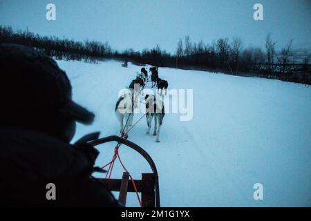 Dogsledding in the Sami People region of Abisko National Park in Sweden ...