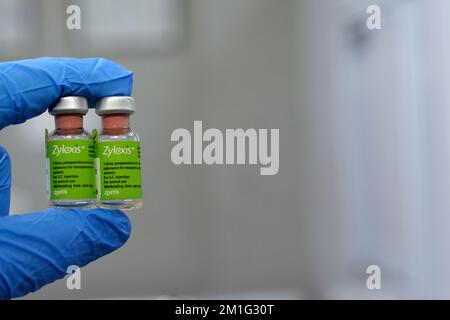 Cairo, Egypt, December 8 2022: Zylexis vaccine for prevention and ...