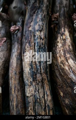 Floated wood, close-up view, Les Flottins festival, Evian-les-Bains ...