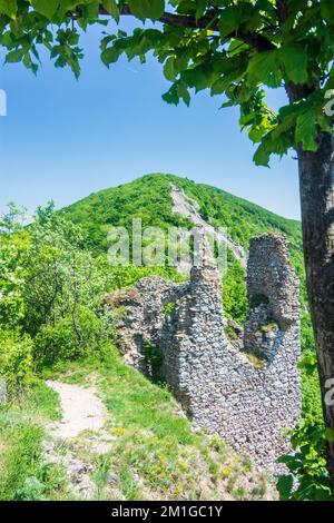 Bukova (Bixard): Ostry Kameň Castle (Scharfenstein Castle) in Male ...