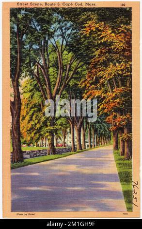 Street scene, Route 6, Cape Cod, Mass. , Roads, Tichnor Brothers ...