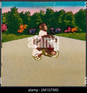 Two chimpanzees riding a tricycle , Chimpanzees, Bicycles & tricycles ...