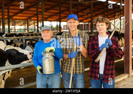 Three milk farm workers in cowhouse Stock Photo - Alamy