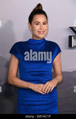 Minnie Driver, The Witcher: Blood Origin - World Premiere, BFI ...