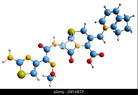 Pseudomonas aeruginosa bacteria gram-negative rod-shaped bacteria are ...