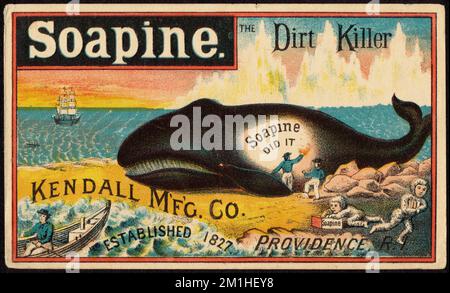 Soapine the dirt killer - Soapine did it , Whales, Beaches, Icebergs ...