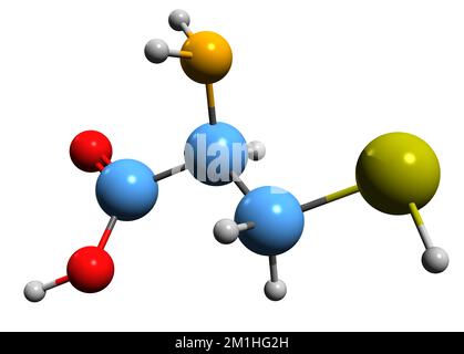 3D image of L-cystine skeletal formula - molecular chemical structure ...