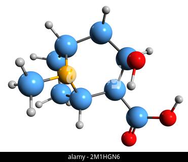 Ecgonine coca alkaloid molecule. Metabolite of cocaine. 3D rendering ...