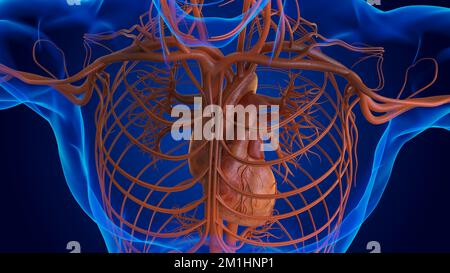 human heart damaged internal organ for medical concept 3D illustration ...