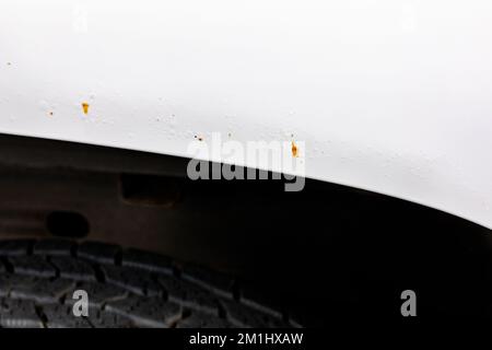 rust on the vehicle body, corrosion spots on the car rust on the ...