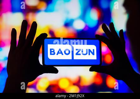 Brazil. 12th Dec, 2022. In this photo illustration, the Baidu, Inc ...