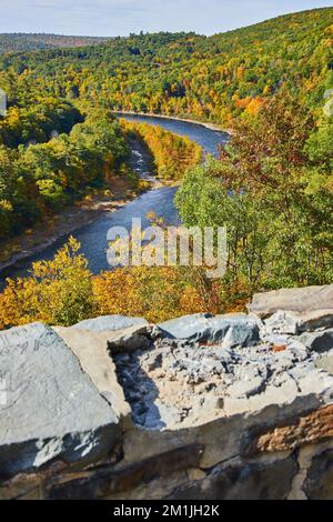 Sparrow Through Foliage Stock Photo - Alamy