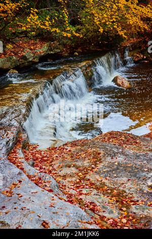 Ice formation on a small forest stream, Wenichbach in the Tabener ...
