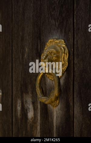 A vertical shot of a golden knocker of a vintage green gate Stock Photo ...
