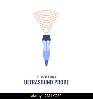 Linear ultrasound probe transducer sonography diagram illustration ...