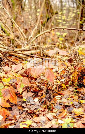 Hungarian countryside in autumn, HDR Image Stock Photo - Alamy