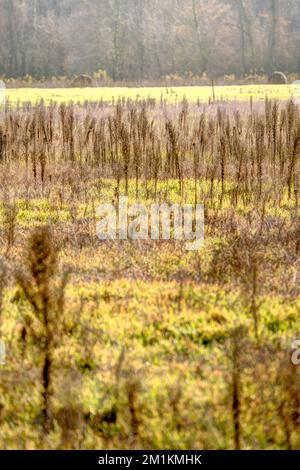 Hungarian countryside in autumn, HDR Image Stock Photo - Alamy