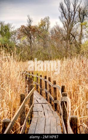 Hungarian countryside in autumn, HDR Image Stock Photo - Alamy