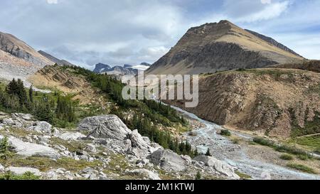 A beautiful view of the Brazeau Loop Trail in Jasper National Park ...