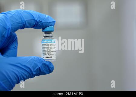 Cairo, Egypt, December 8 2022: Nobivac Rabies stable inactivated ...