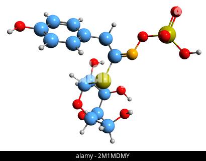 3D image of Sinigrin skeletal formula - molecular chemical structure of ...
