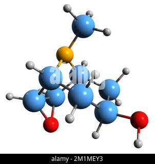 3D image of Tropane skeletal formula - molecular chemical structure of ...