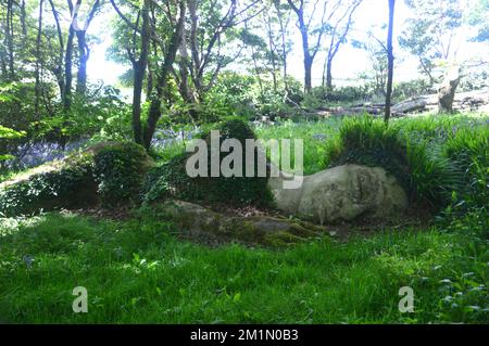 Mud Maid a Living Sculpture Lying Down Sleeping on the Floor in the ...
