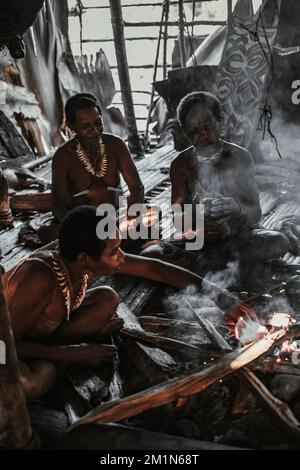Tree house, Korowai people, West Papua, West New Guinea, Irian-Jaya ...