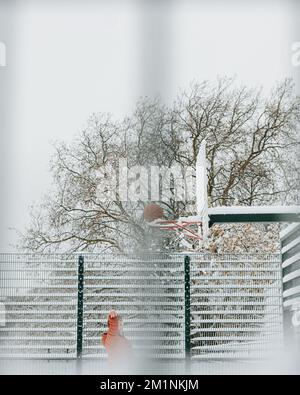 Views of snow on the outdoor basketball court in Clissold Park, Hackney ...