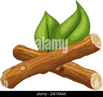 licorice liquorice plant cartoon vector illustration Stock Vector Image ...