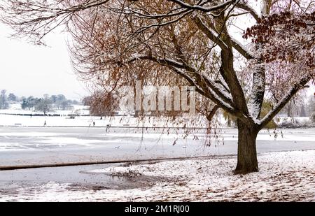 Verulamium Park St. Albans showing the frozen lake and beautiful snow ...
