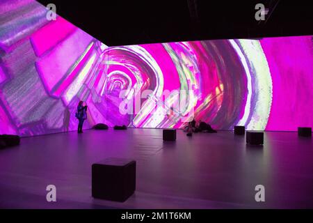 Gdansk, Poland. 13th December 2022. Media day on VAN GOGH Multi-Sensory ...