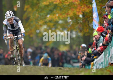 20131117 - GAVERE, BELGIUM: Belgian Niels Albert in action during the ...
