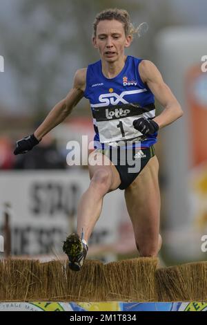 20131124 - ROESELARE, BELGIUM: Belgian Veerle Dejaeghere pictured in ...