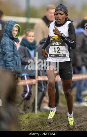 20131124 - ROESELARE, BELGIUM: Almensh Belete pictured in action during ...