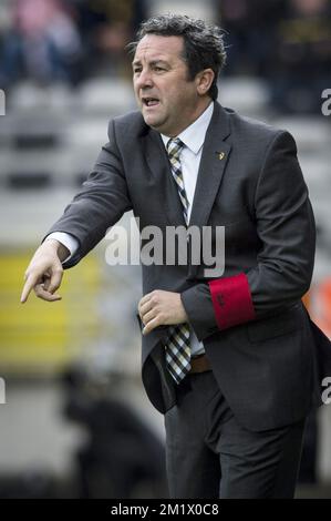 20141102 - LIER, BELGIUM: Lierse's head coach Slavisa Stojanovic ...