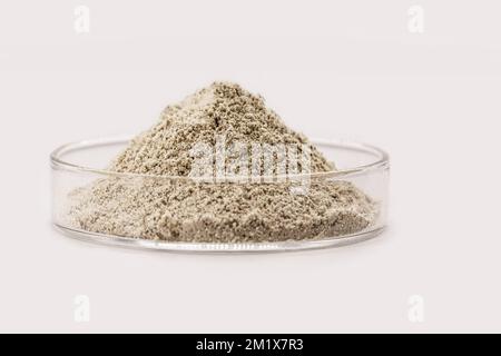 Indoleacetic acid is an auxin, a growth hormone that promotes ...
