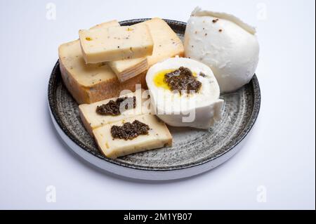 Gourmet cheeses, italian taleggio and mozzarella chesses with filling ...