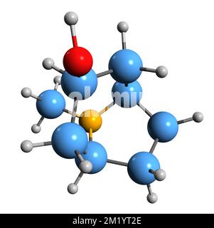 3D image of Tropane skeletal formula - molecular chemical structure of ...