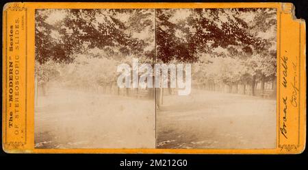 Broad Walk, Oxford , Walkways Stock Photo - Alamy