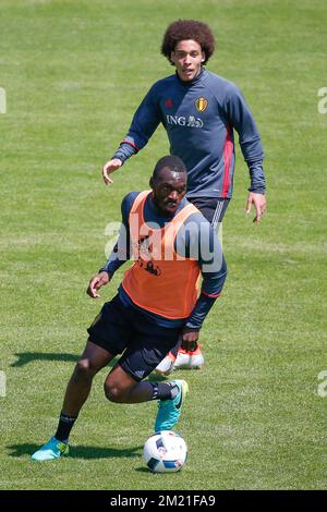 Belgium's Christian Benteke, Belgium's Axel Witsel, Belgium's Romelu ...