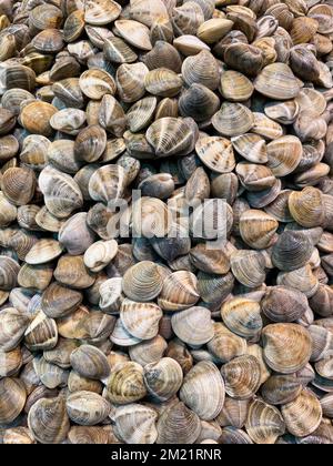 Freshly Cooked Seafood at the market of the Fishing Village Crab Market ...