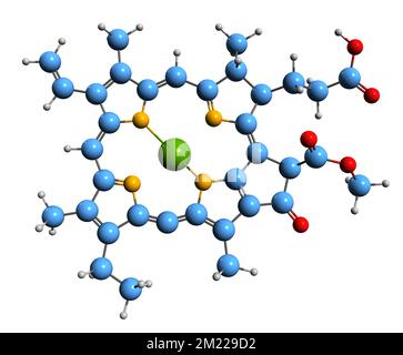 3D image of Bacteriochlorophyll d skeletal formula - molecular chemical ...