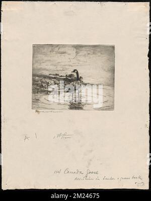Canada geese , Geese, Canada goose. Frank W. Benson (1862-1951). Prints ...