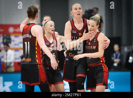 Belgian Cats Julie Vanloo, Belgian Cats Kim Mestdagh, Belgian Cats Emma ...