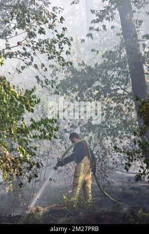 Firemen pictured as a fire started earlier today in the Villers wood in ...